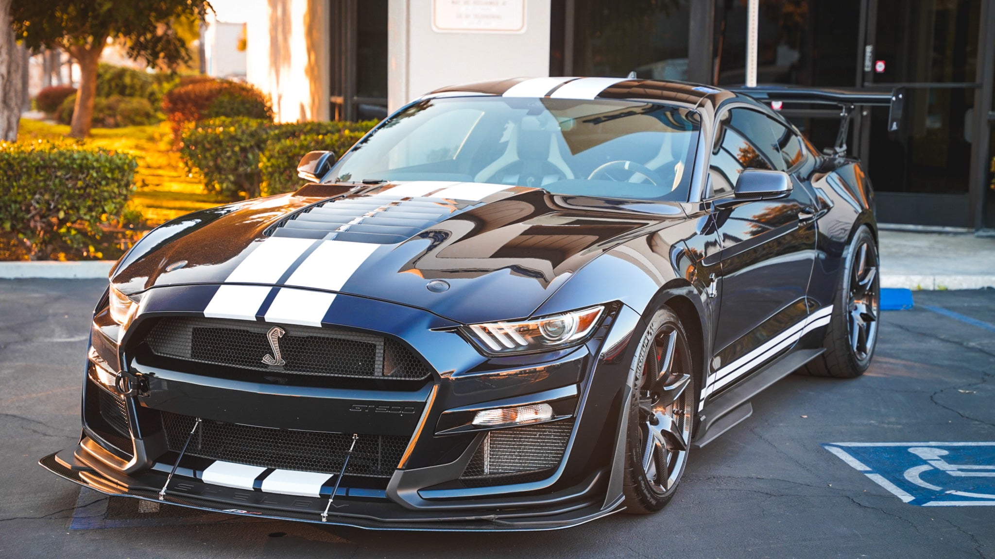 Ford – APR Performance